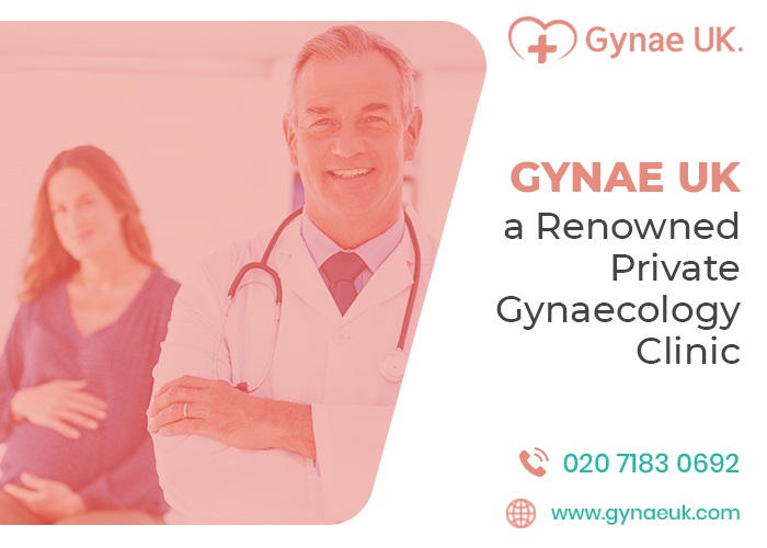Private Gynaecologist London – Gynae UK Clinic South Kensington